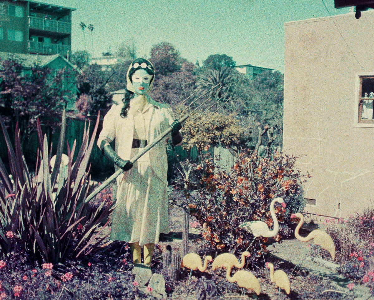 Kat Toronto aka Miss Meatface "In The Land of Palm Trees" – The ...